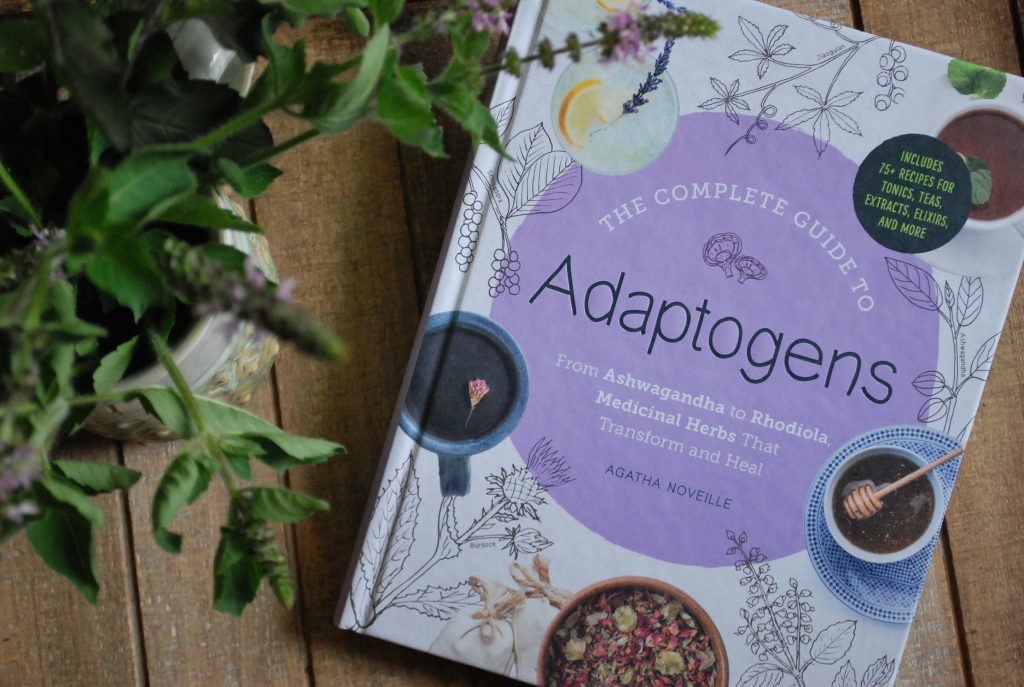 The Complete Guide to Adaptogens – Indie Herbalist
